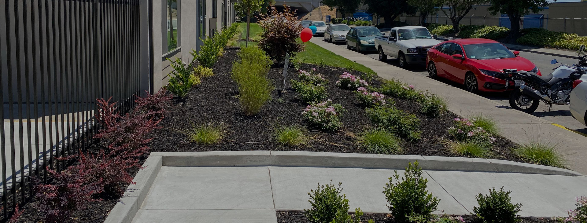 Aronson Landscape | Residential Landscaping | Commercial Landscaping